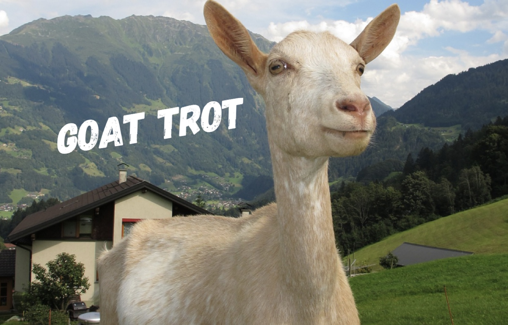 Goat Fest — Rachel Carson Trails Conservancy