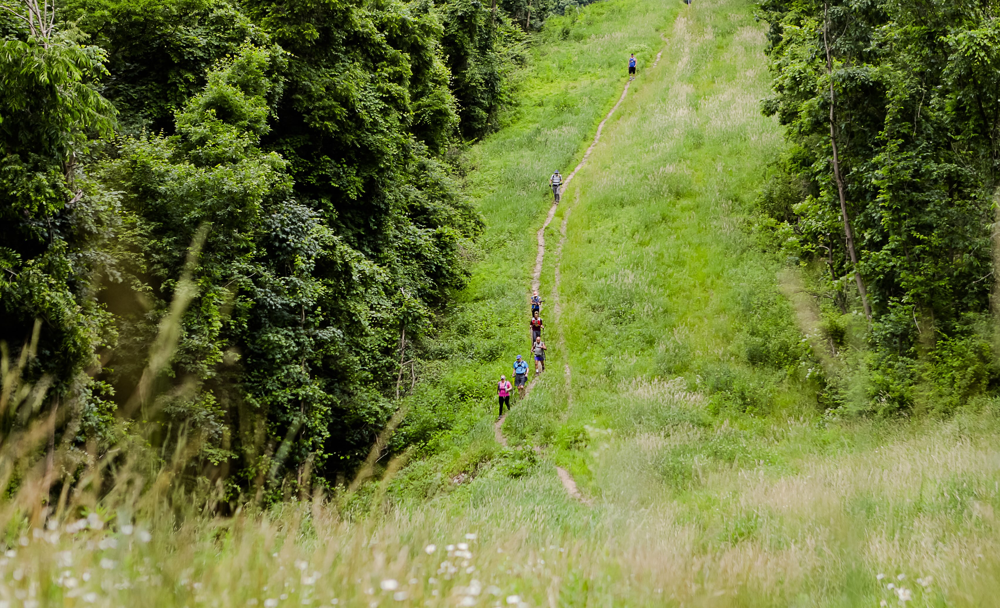 I'm a Trail Landowner — Rachel Carson Trails Conservancy